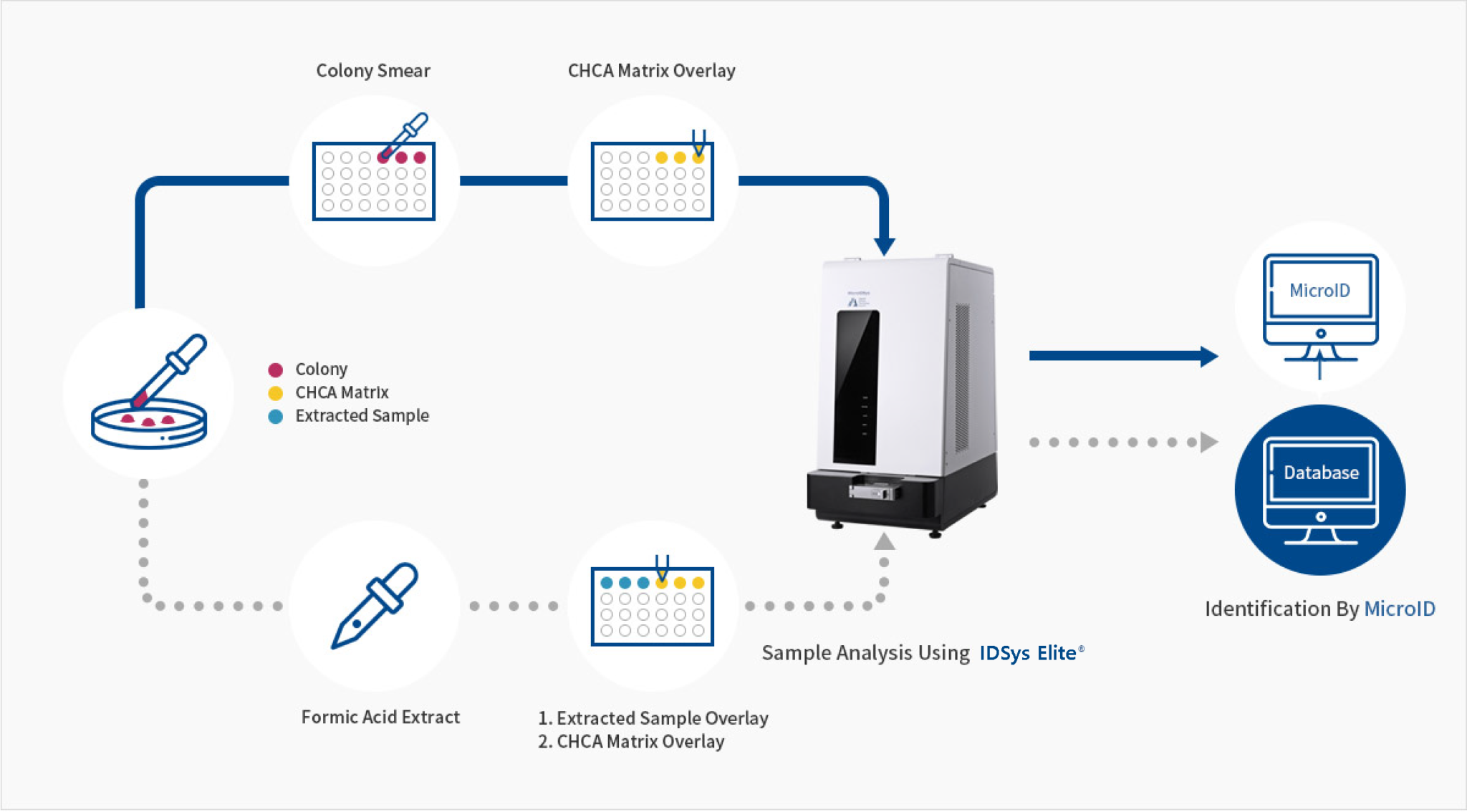 IDSys Elite – ASTA lnc